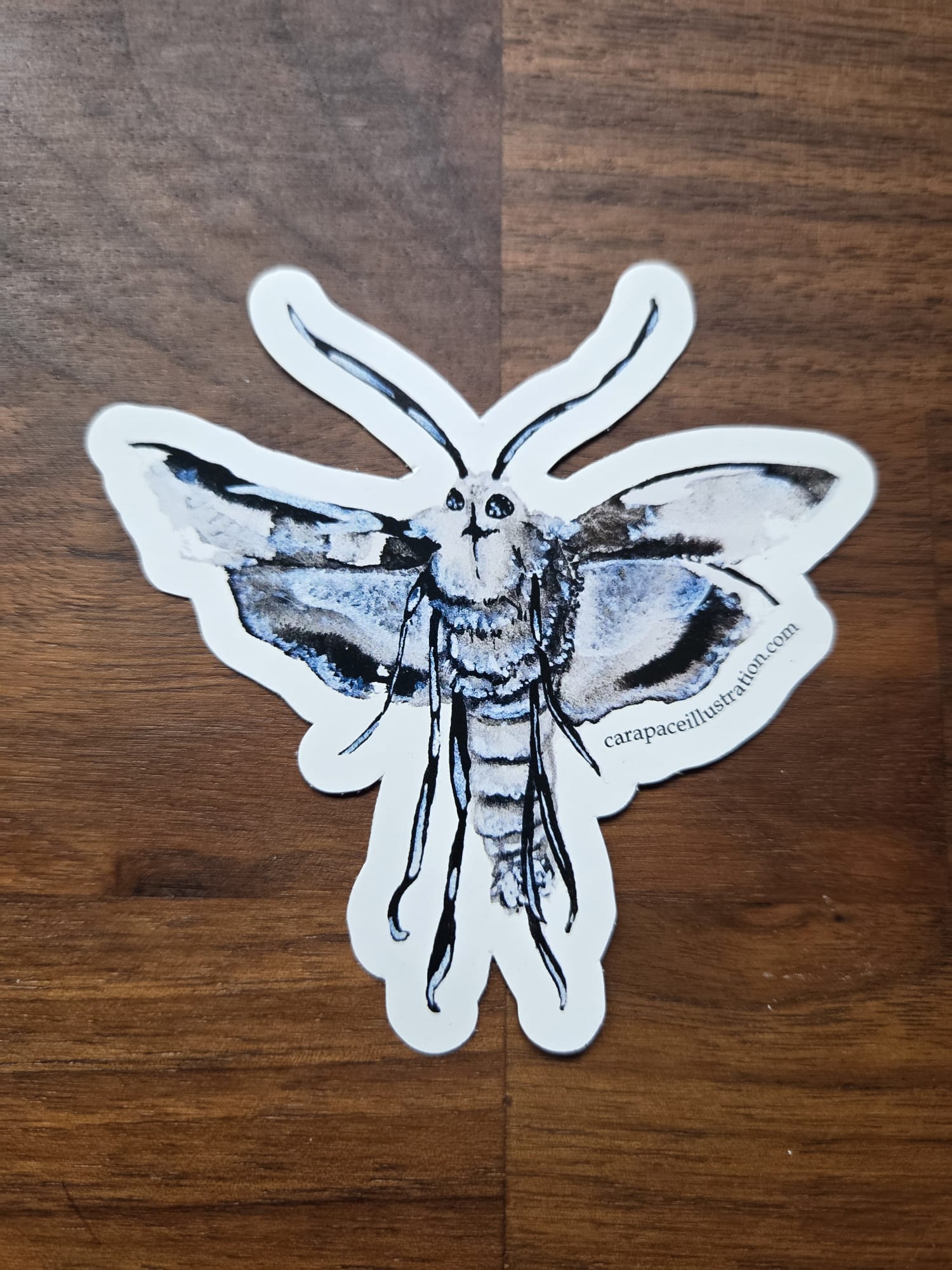 Inky Moth Sticker | Carapace Illustration